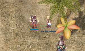 Infinity Dungeon Space – Ragnarok Online