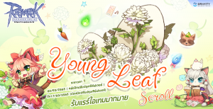 Young Leaf Scroll – Ragnarok Online