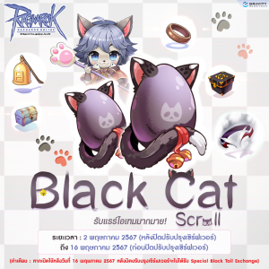 Black Cat Scroll – Ragnarok Online