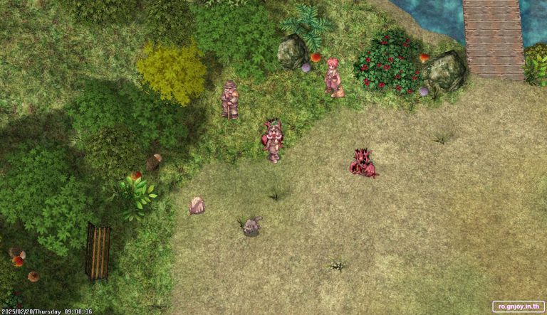 Ragnarok Classic X Red Panda Yakiniku Event – Ragnarok Classic GGT